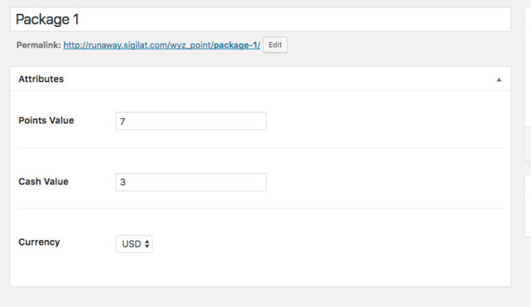 Setting Point Value & Points Packages (Deprecated) | WYZI - Documentation