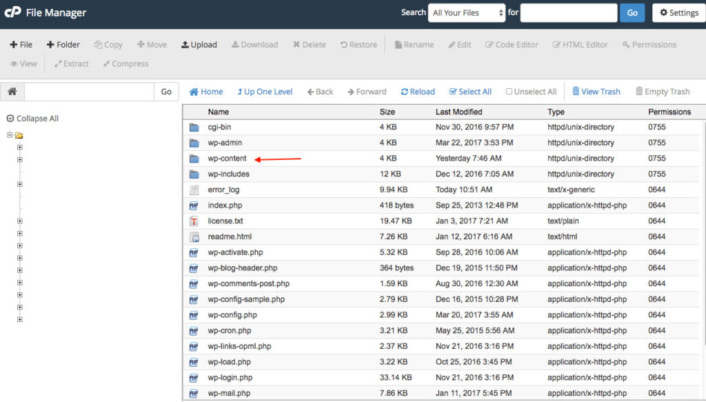 How to update wyzi theme via FTP? | WYZI - Documentation