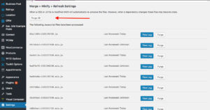 Clearing minified CSS & JS Files | WYZI - Documentation