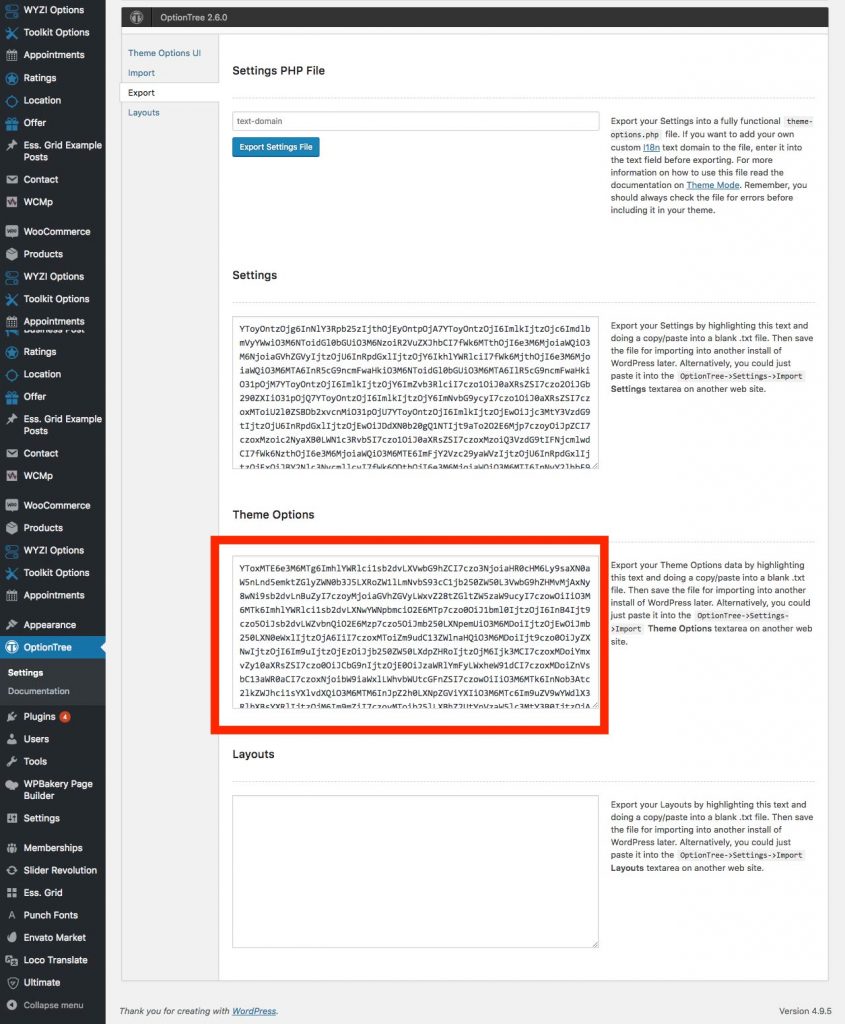 How to export & import Wyzi Options ? | WYZI - Documentation